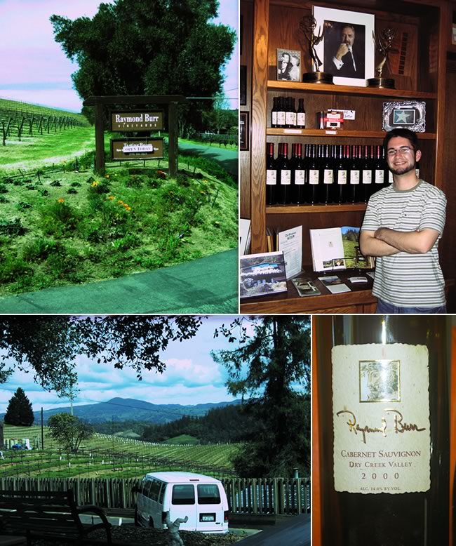 Sonoma County: A Wine Lover's Paradise | Mayhar Design