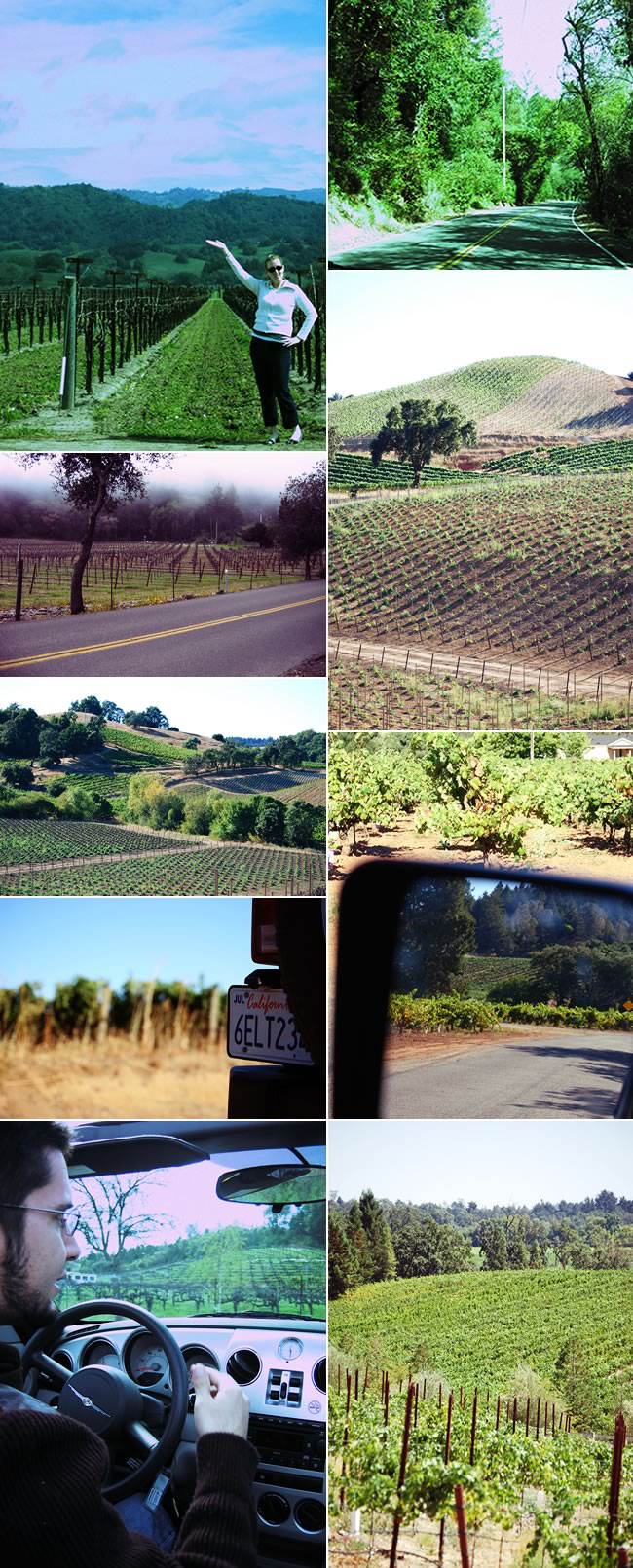 Sonoma County: A Wine Lover's Paradise | Mayhar Design